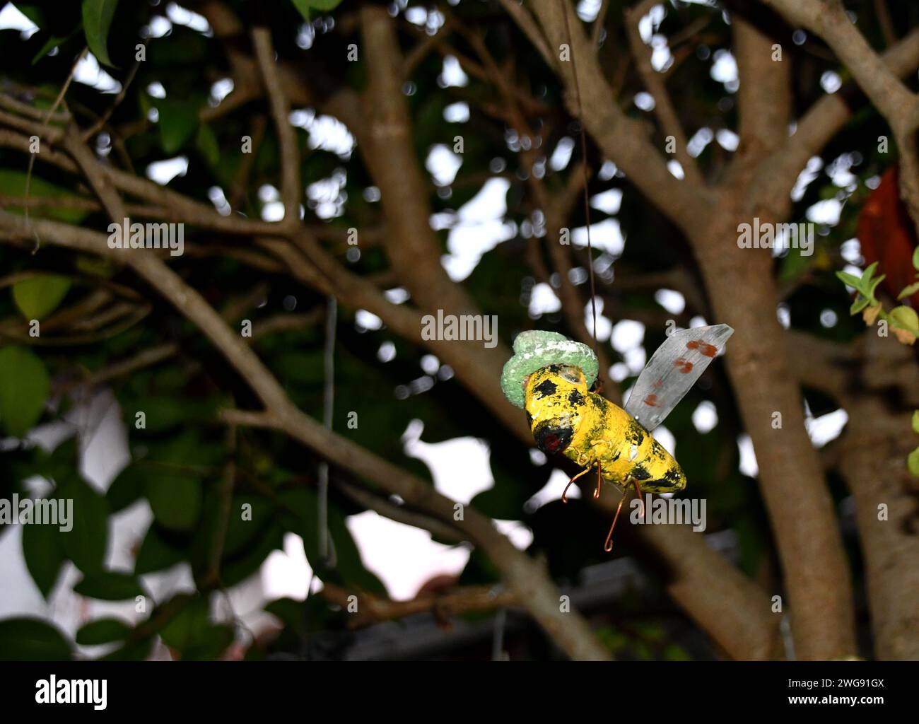 Ornament in the shape of a bee with a green hat hanging on a thread in ...