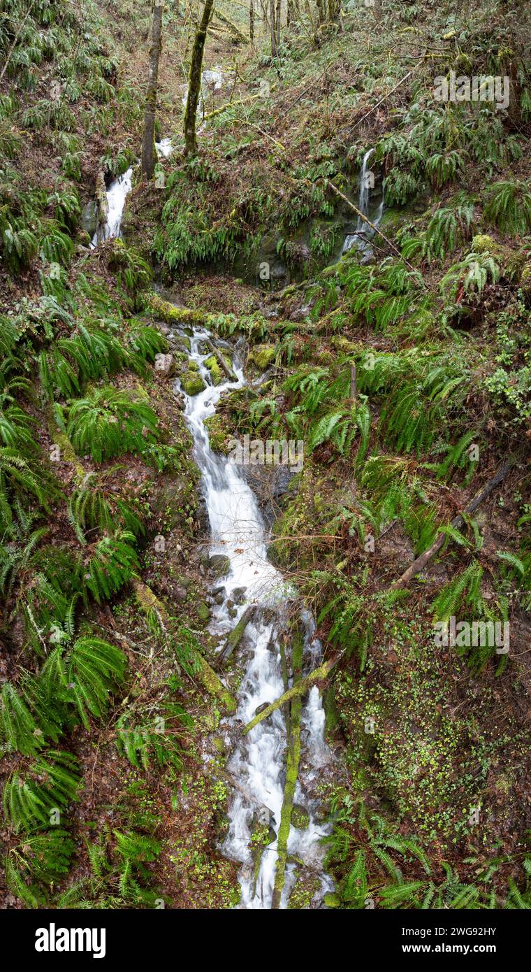 Molalla river valley hi-res stock photography and images - Alamy