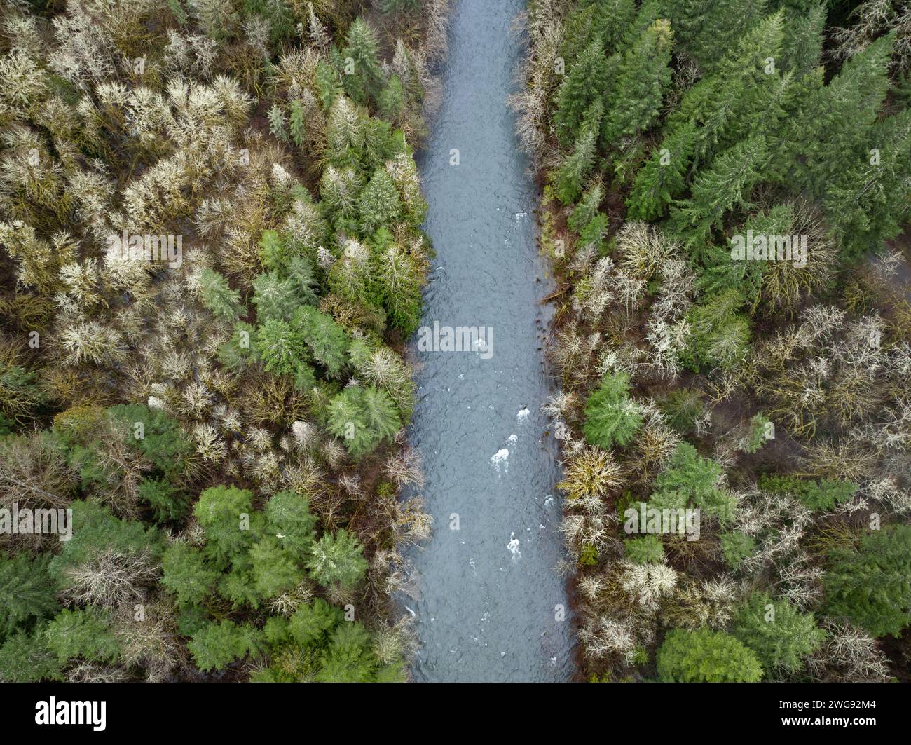South of Portland, Oregon, the Molalla River flows through Molalla ...