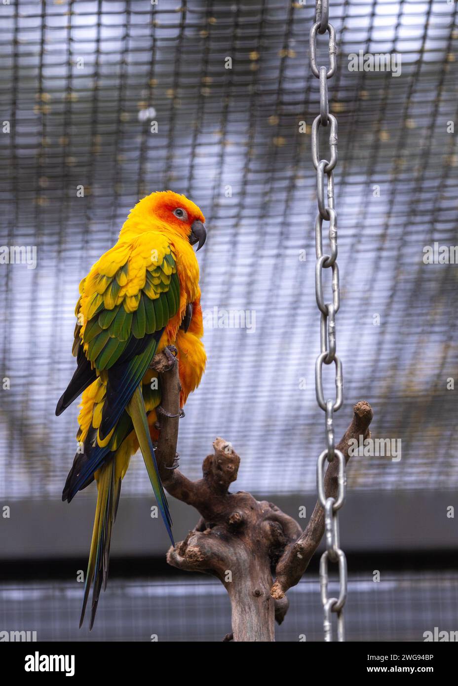 Tro symbol hi-res stock photography and images - Alamy