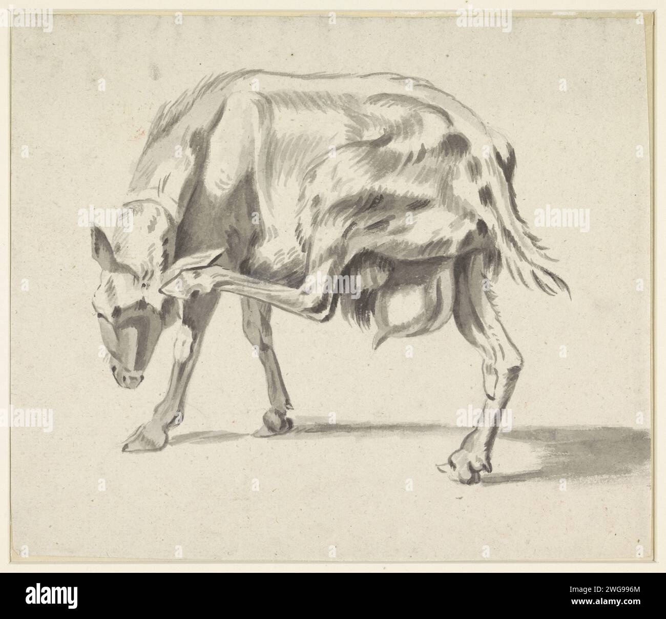 Scratching goat, Hendrik Jozef Franciscus van der Poorten, 1840 drawing ...