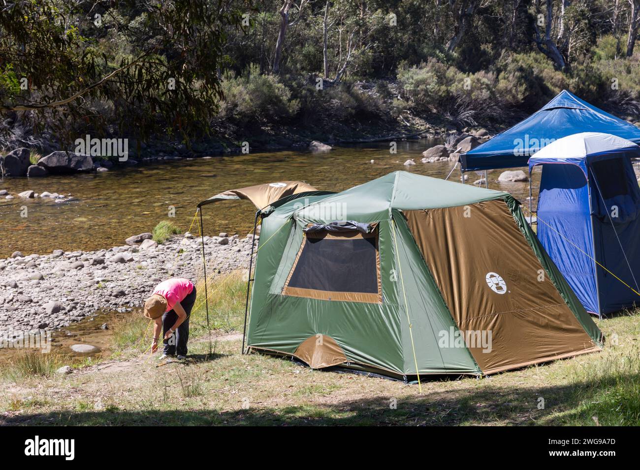Woman pegs out camping tent at camp site beside the Snowy River ...