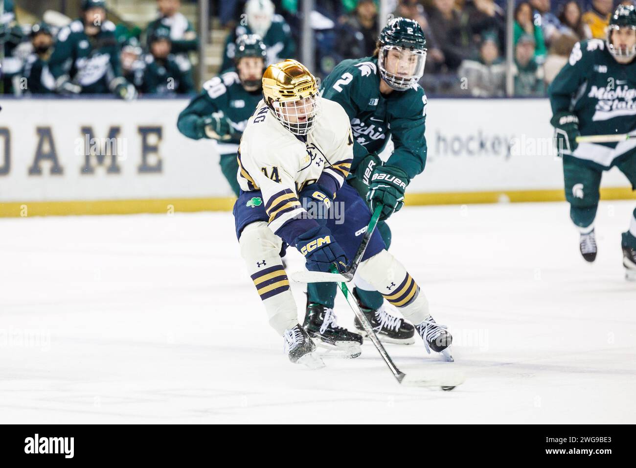 South Bend, Indiana, USA. 03rd Feb, 2024. Notre Dame forward Maddox ...