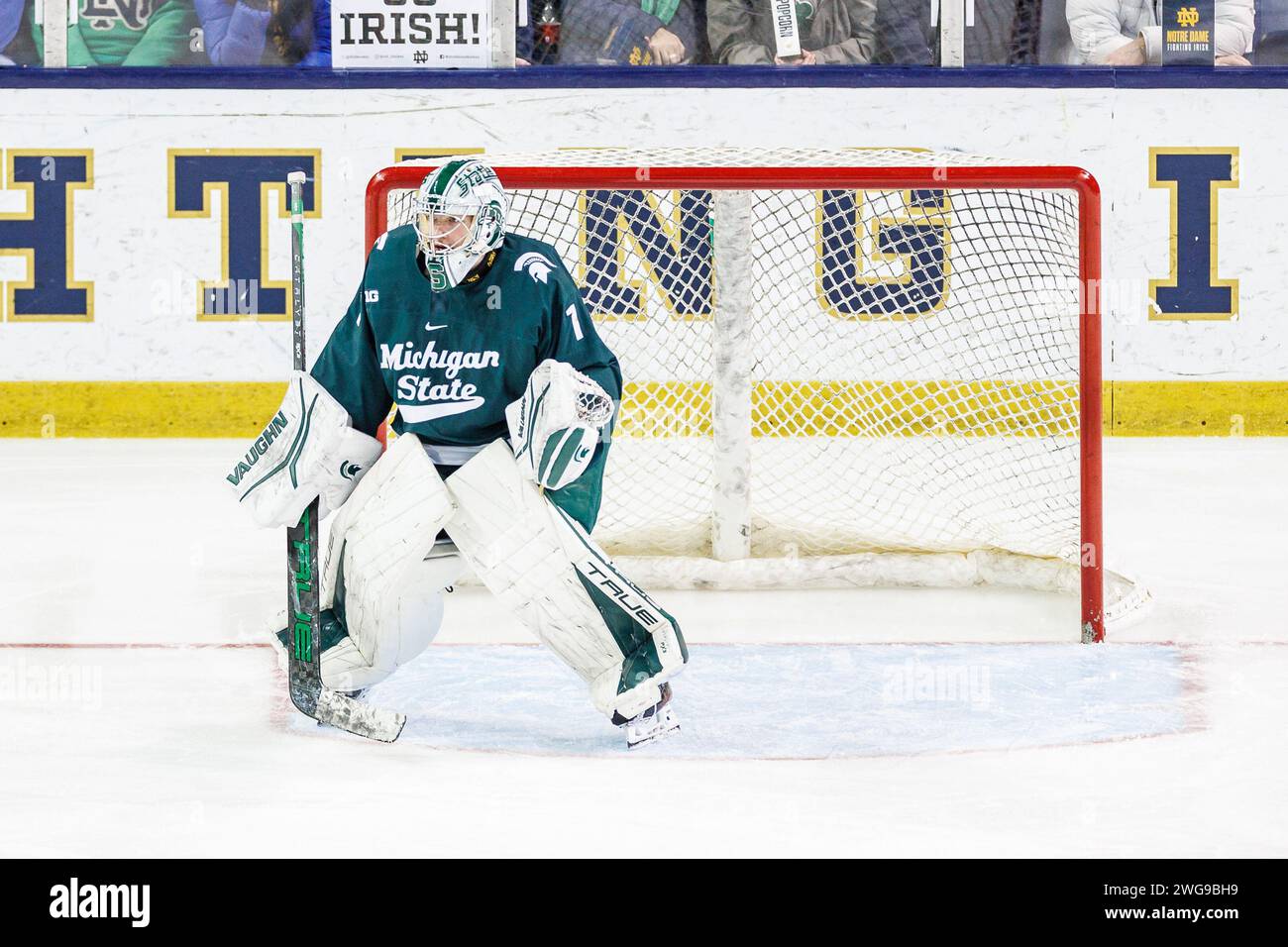 South Bend, Indiana, USA. 03rd Feb, 2024. Michigan State goaltender ...