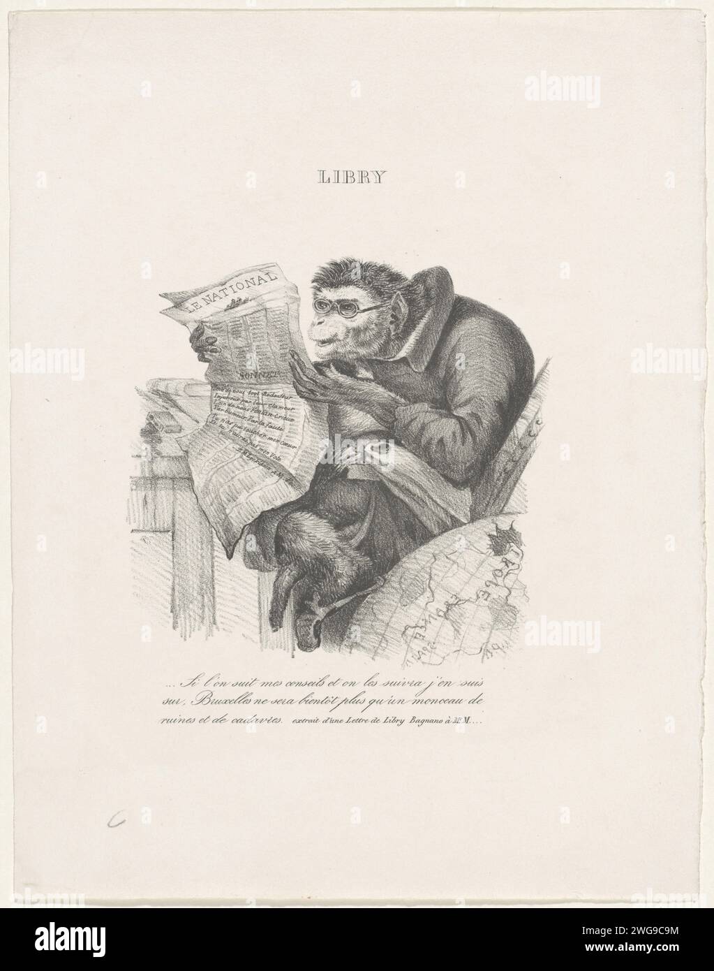 Monkey reading newspaper hi-res stock photography and images - Alamy