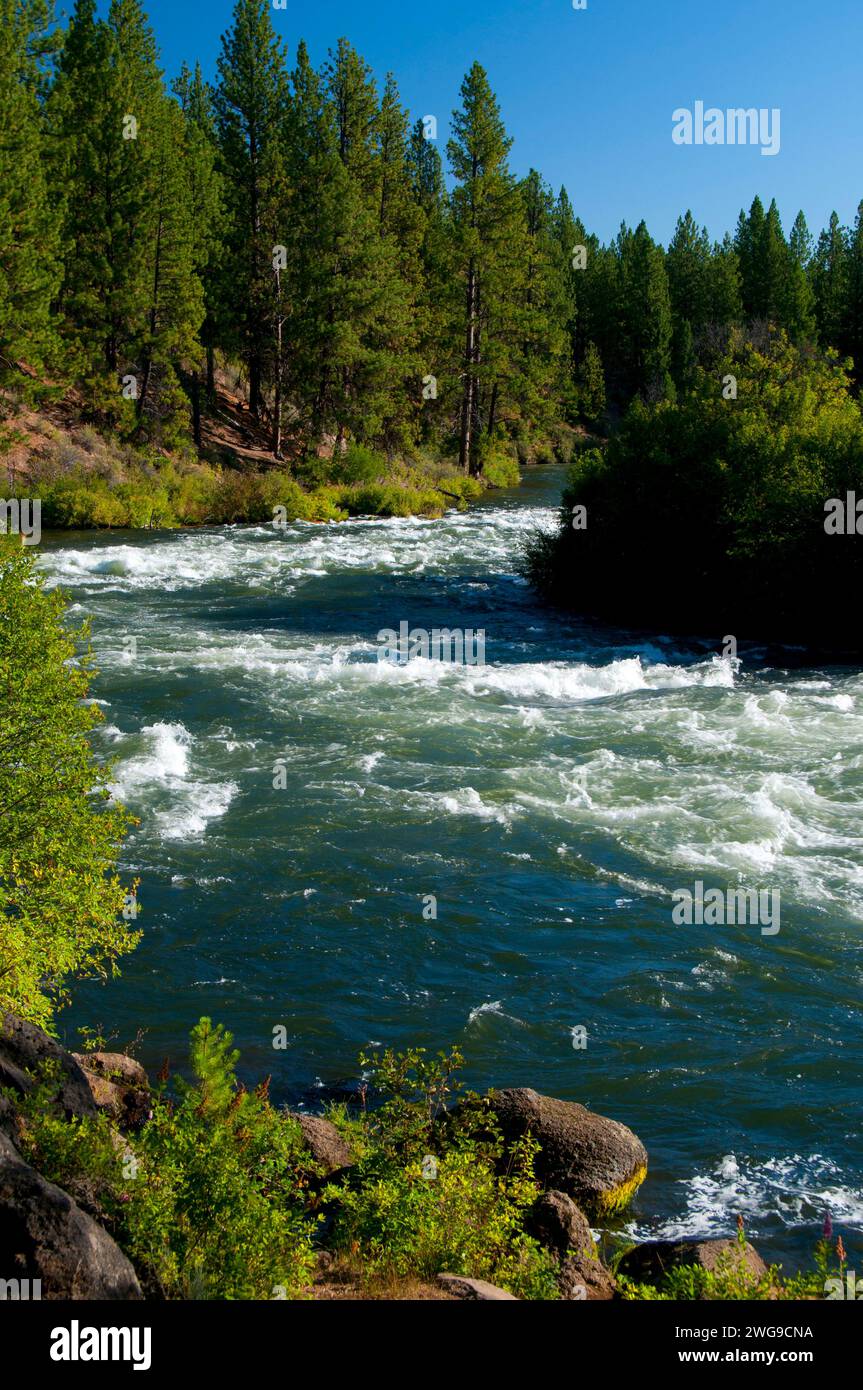 Deschutes Wild and Scenic River from Deschutes River Trail, Deschutes ...