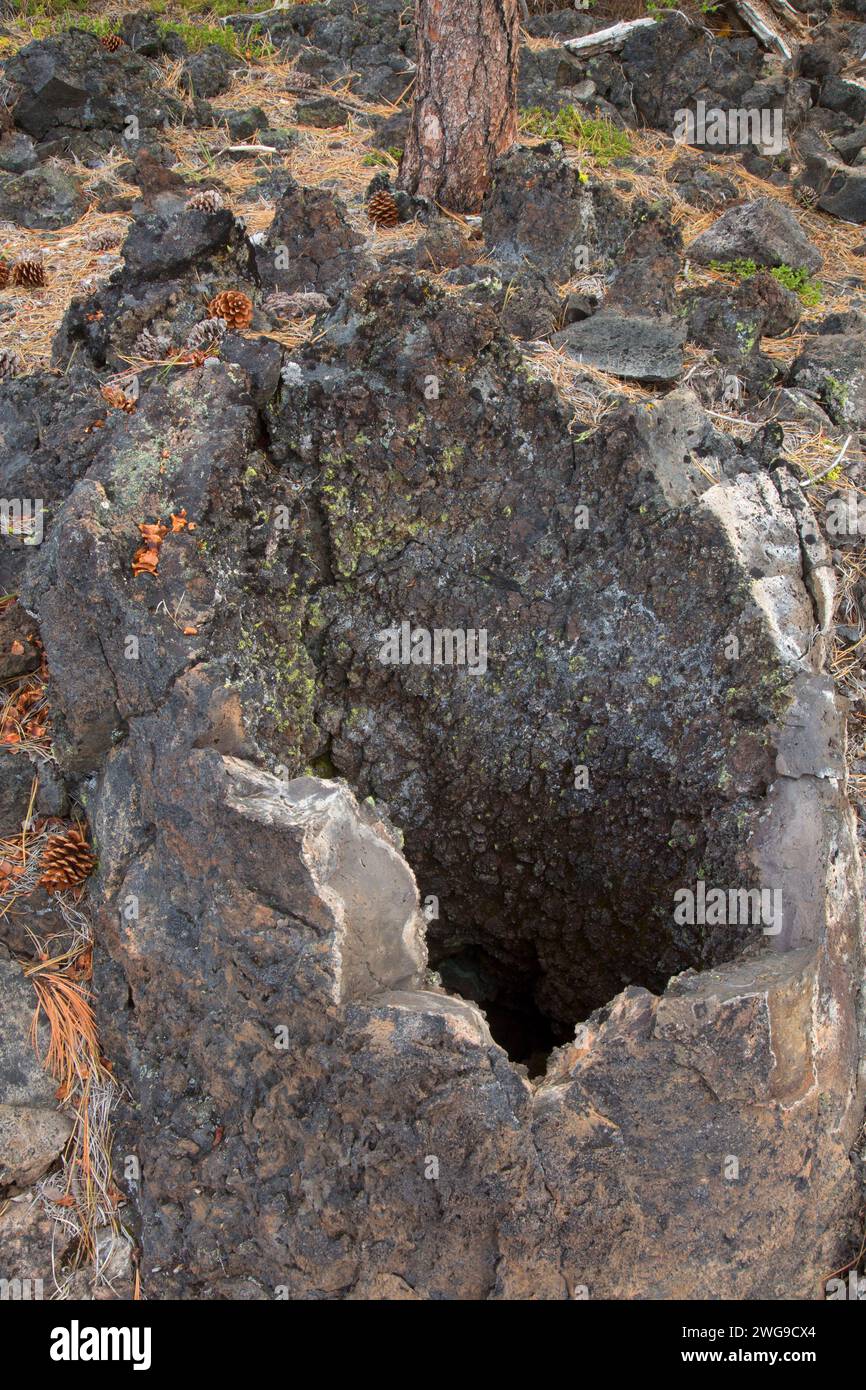 Lava cast along Lava Cast Forest Trail, Newberry National Volcanic ...