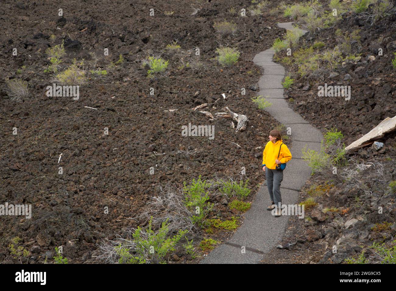 Lava Cast Forest Trail, Newberry National Volcanic Monument, Oregon ...