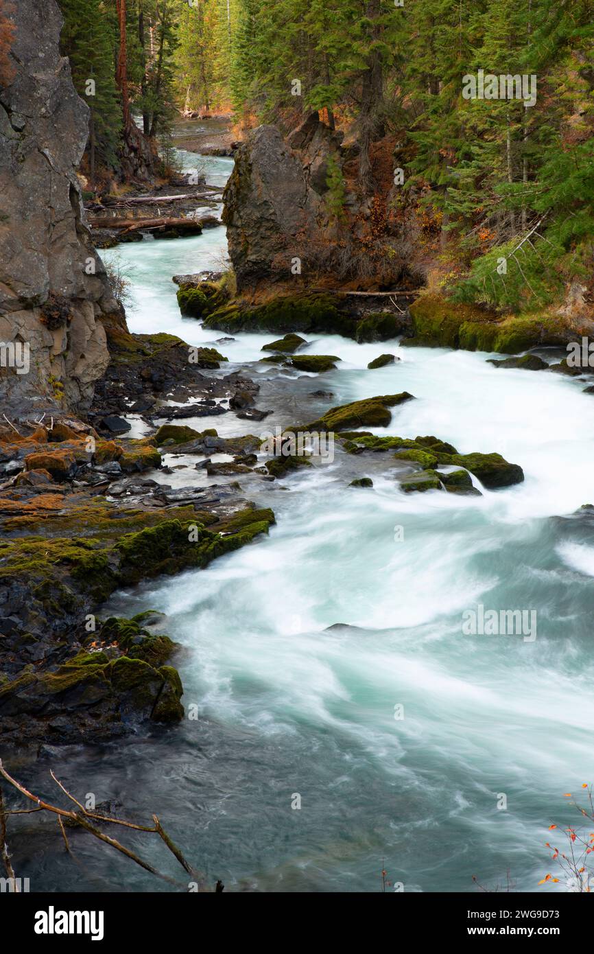 Benham falls trail hi-res stock photography and images - Alamy