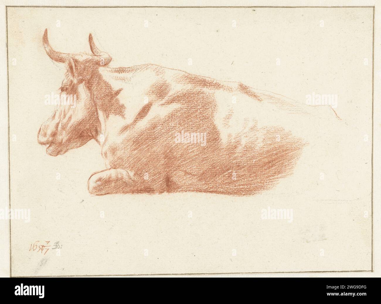 Lying cow, Jan de Bray, 1651 drawing paper. chalk cow Stock Photo - Alamy