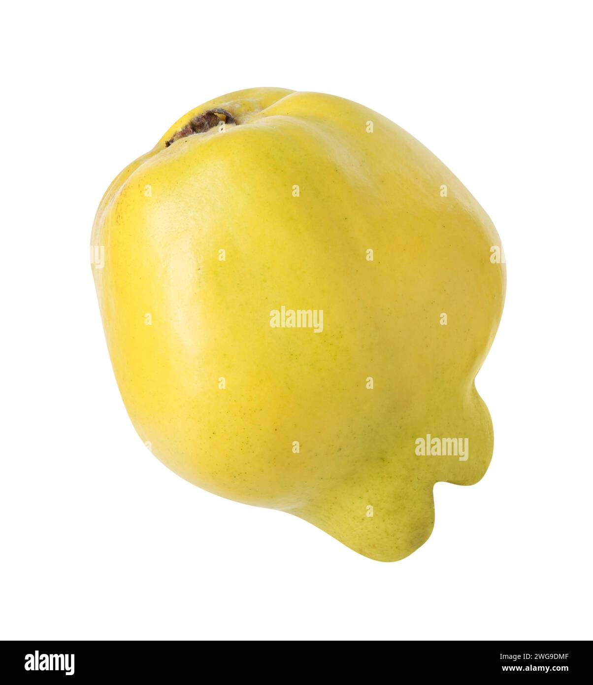 Delicious fresh ripe quince isolated on white Stock Photo - Alamy