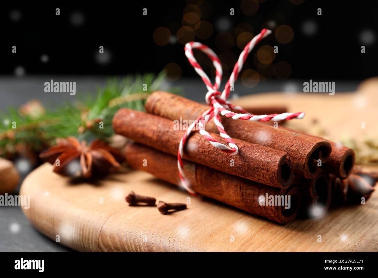 Cardamom tree hi-res stock photography and images - Alamy
