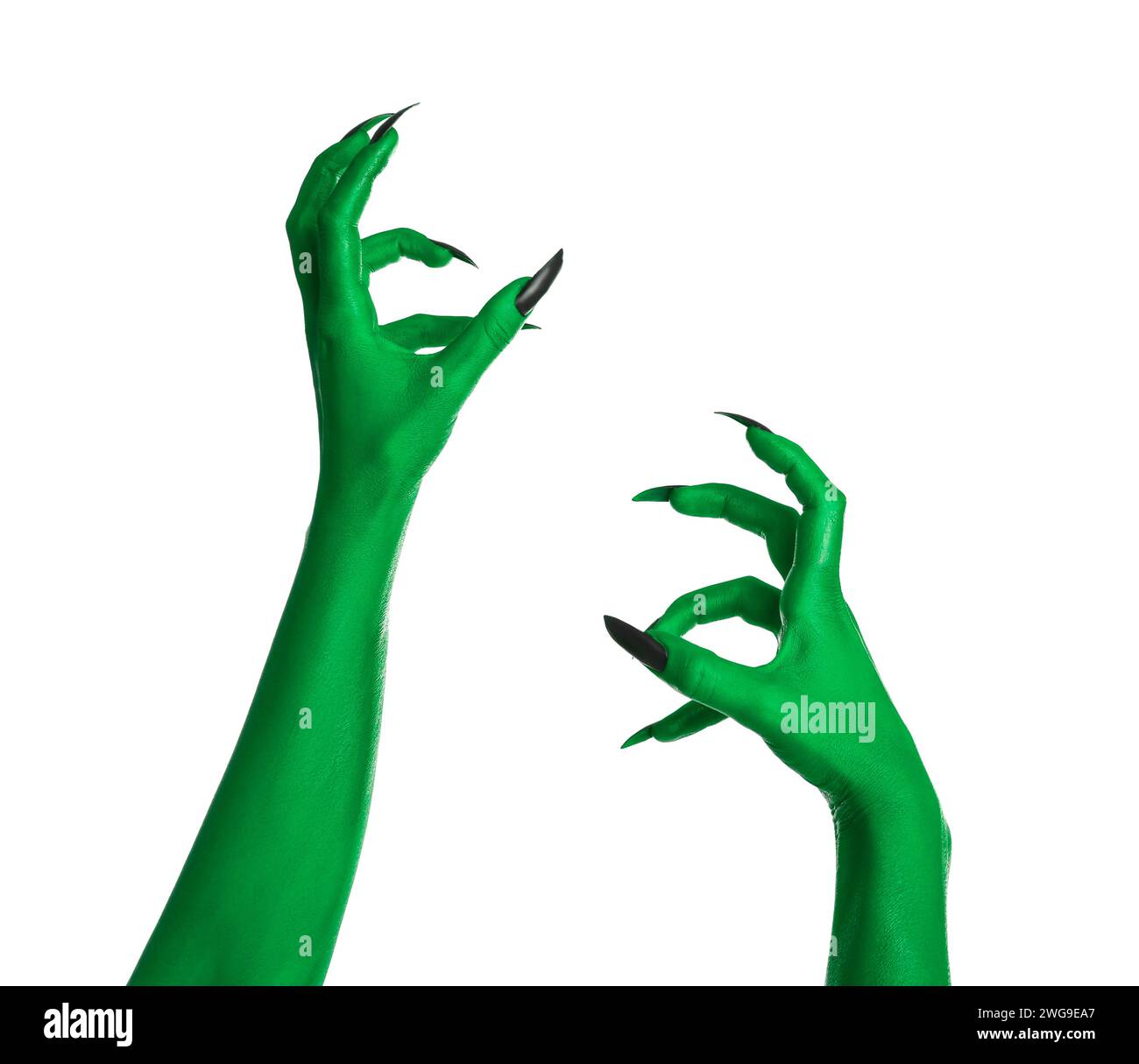 Creepy monster. Green hands with claws isolated on white Stock Photo ...