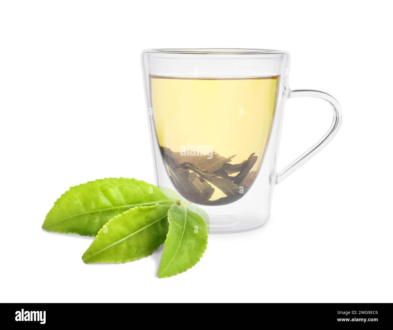 Green tea in glass cup and green leaves isolated on white Stock Photo ...
