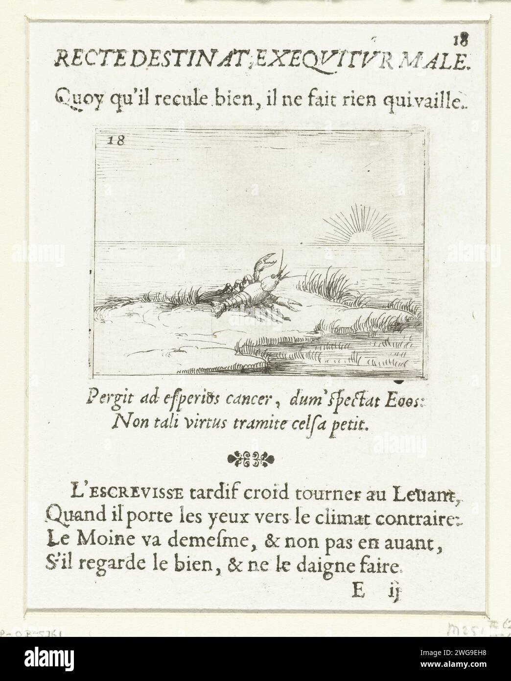 A Cancer looks at the sun, Jacques Callot, 1646 print Presentation of a ...