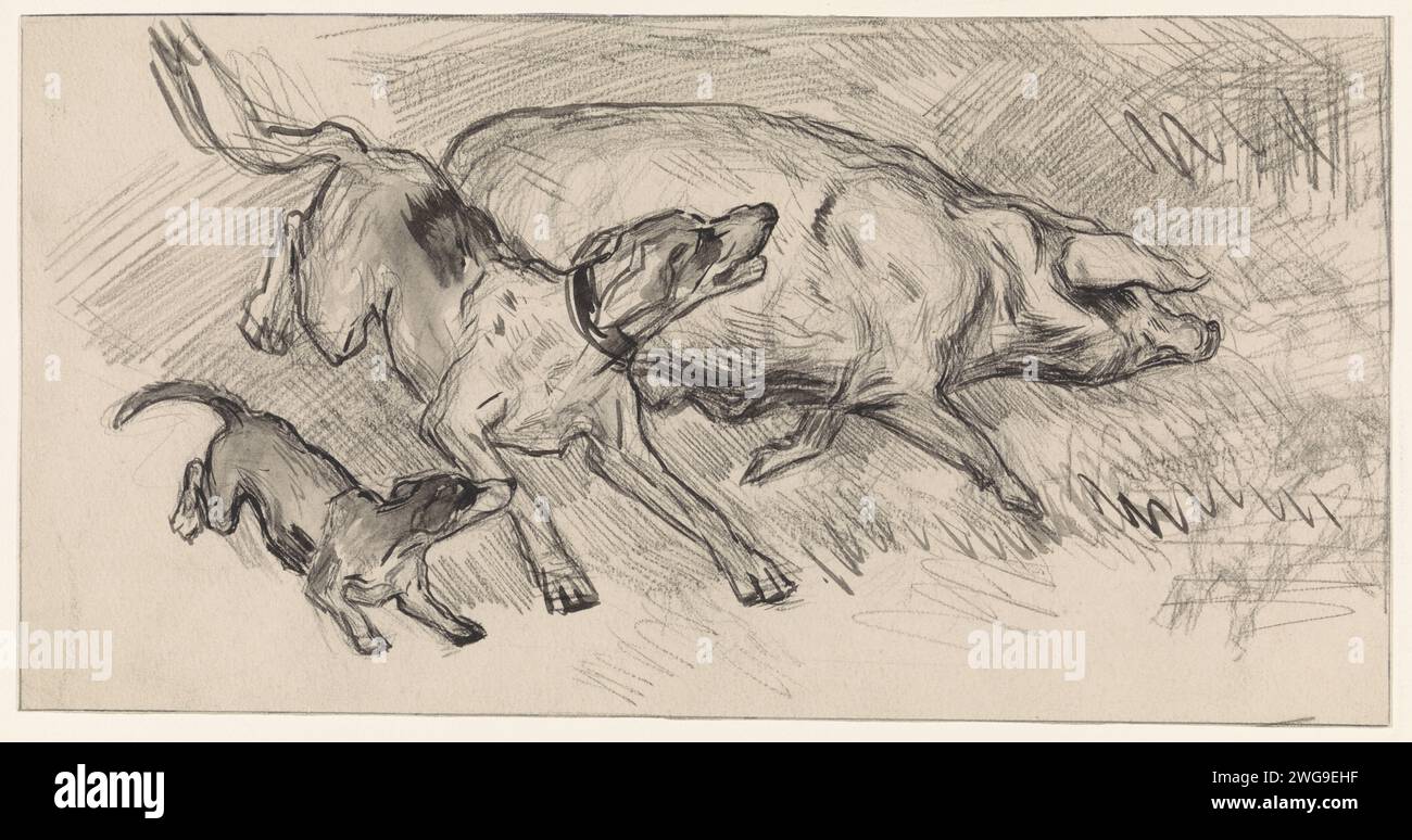 Two dogs rushing a pig, Jan van Essen, 1864 - 1936 drawing paper. chalk ...