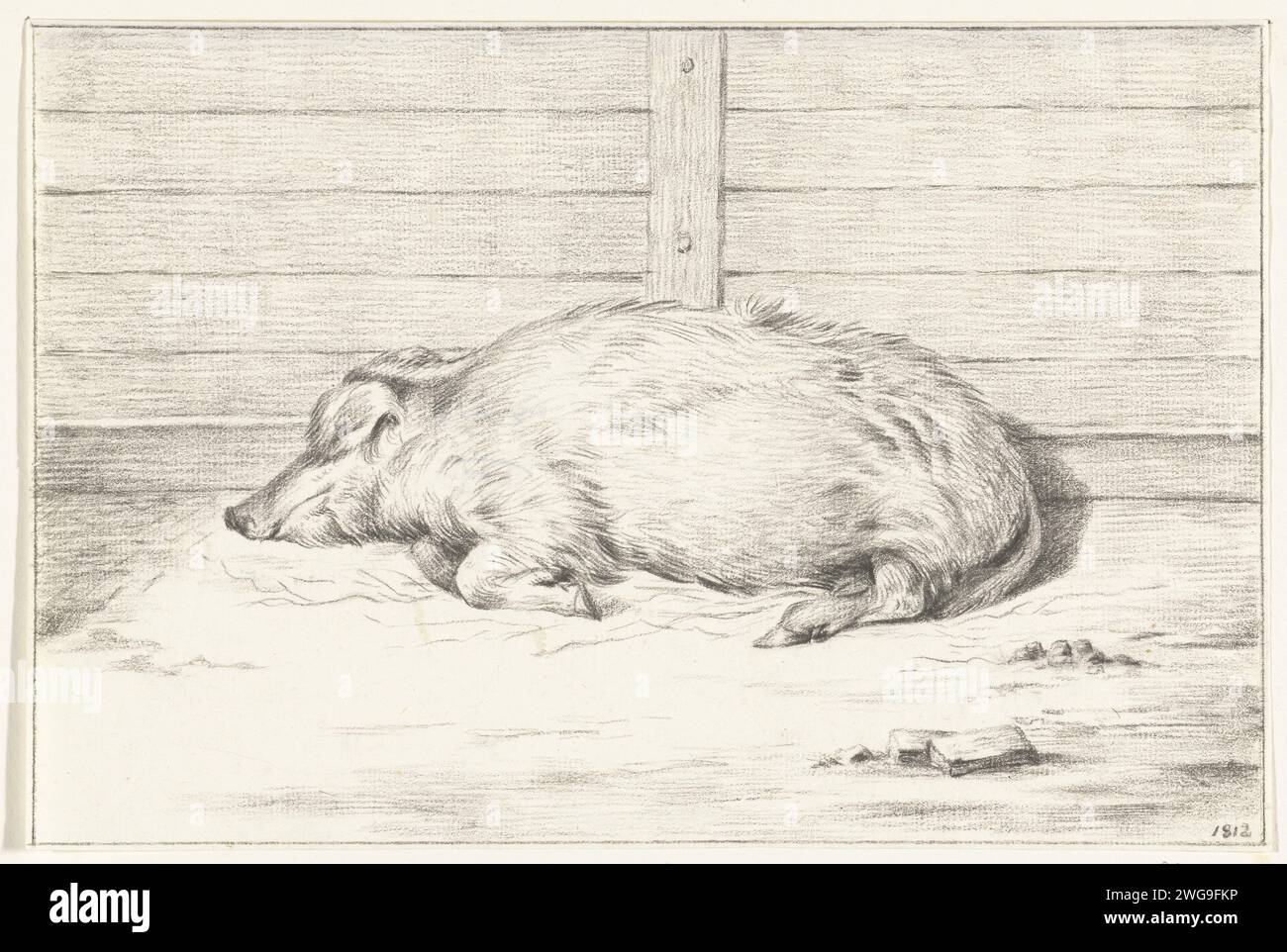 Lying pig, to the left, against a shelter, Jean Bernard, 1812 drawing ...