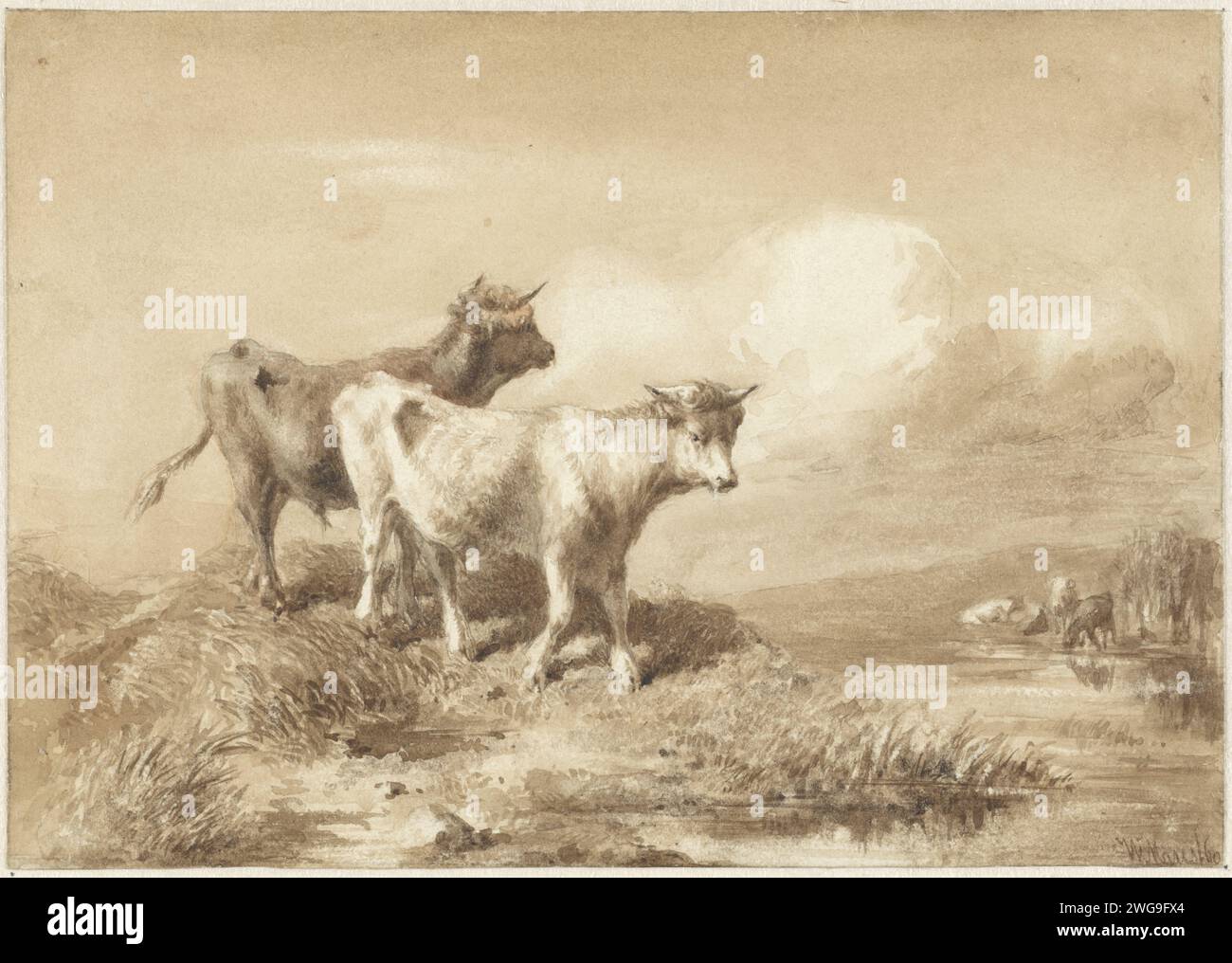Cows by the Water, Willem Maris, 1860 drawing paper. pencil brush cow ...