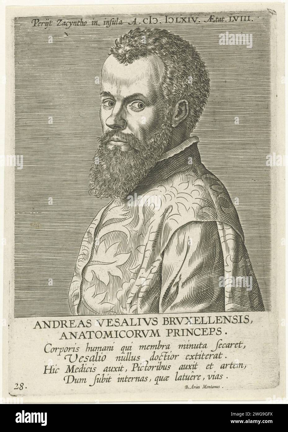 Portrait of Andreas Vesalius, Philips Galle, After Jan Stefan van ...