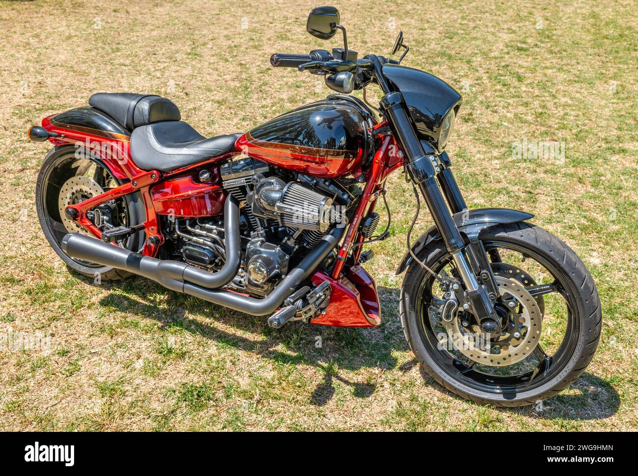 Custom Harley Davidson softail in red and black Stock Photo - Alamy