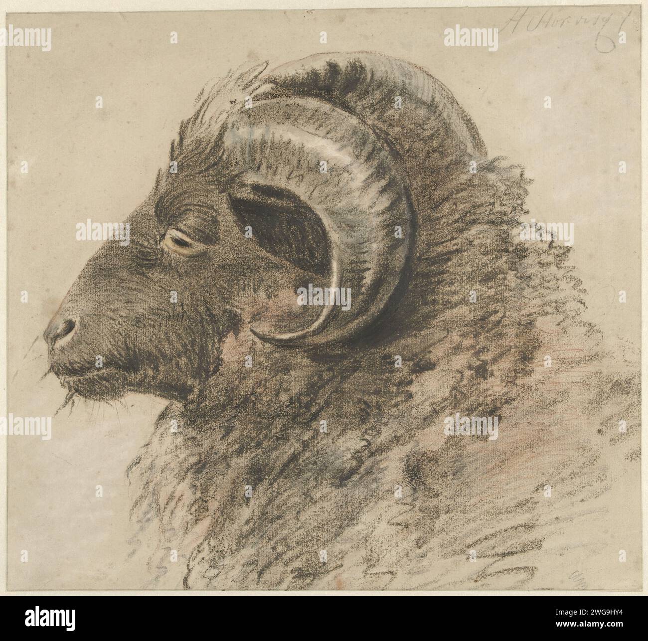 Head of a ram, to the left, seen from the side, Hendrik Stokvisch, 1778 ...