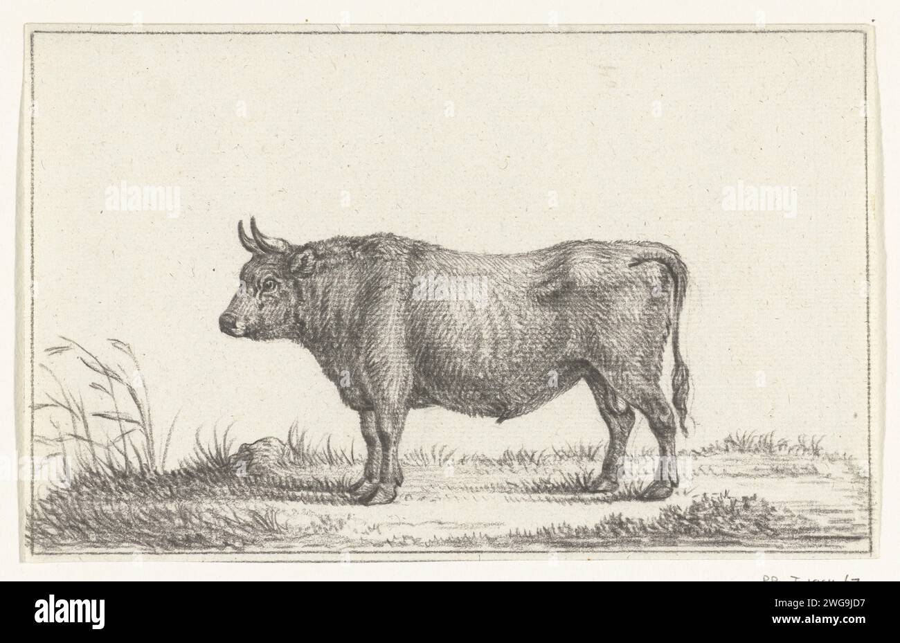 Standing Taurus, Left, Jean Bernard, 1775 - 1833 drawing paper. pencil ...