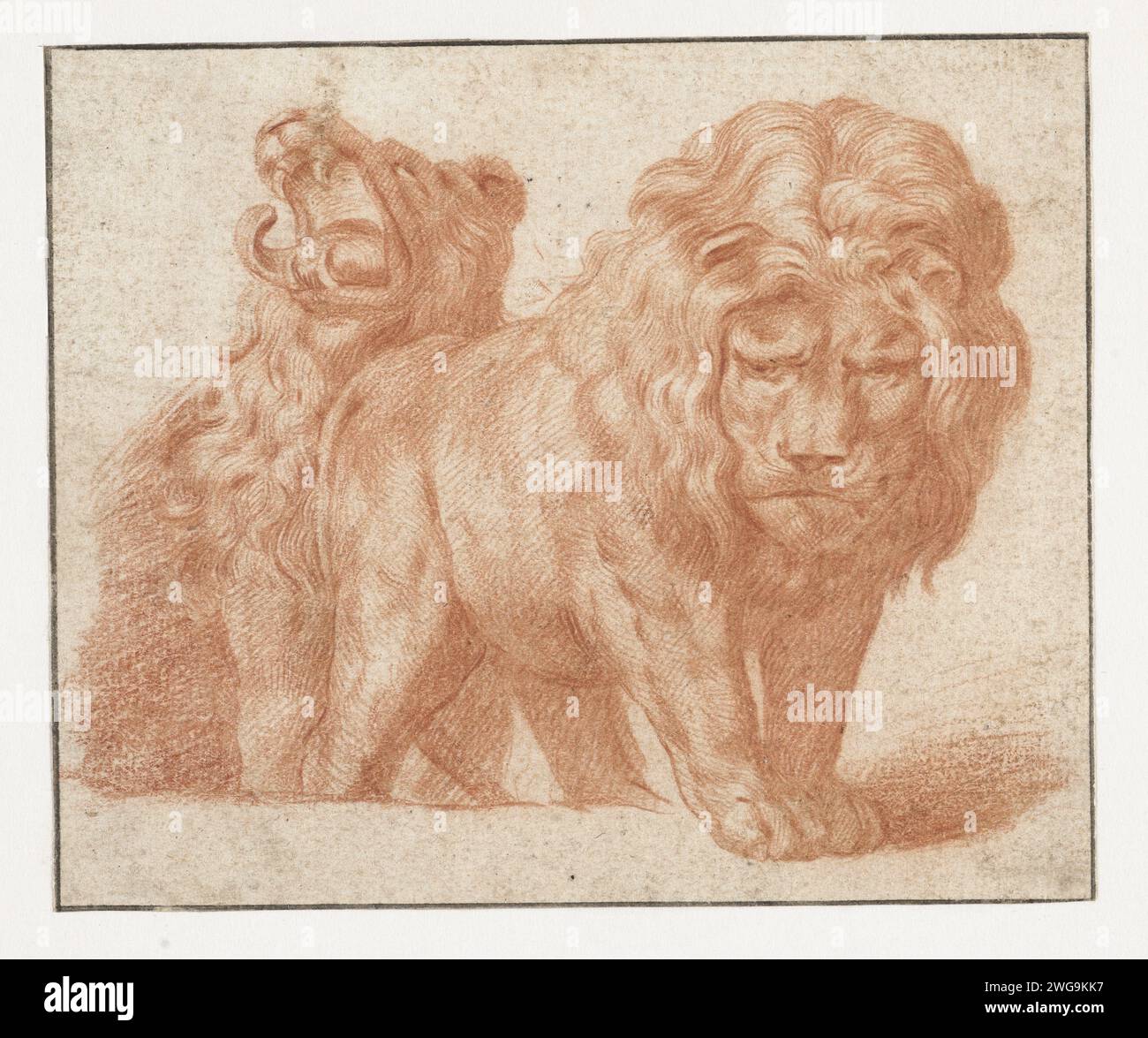 Twee leeuwen, Peter Paul Rubens (school of), after Abraham Bloteling ...