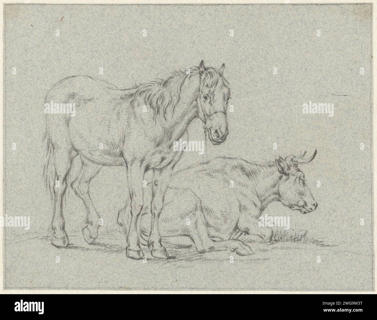 Standing horse and a lying cow, Jan Kobell (II), 1788 - 1814 drawing ...