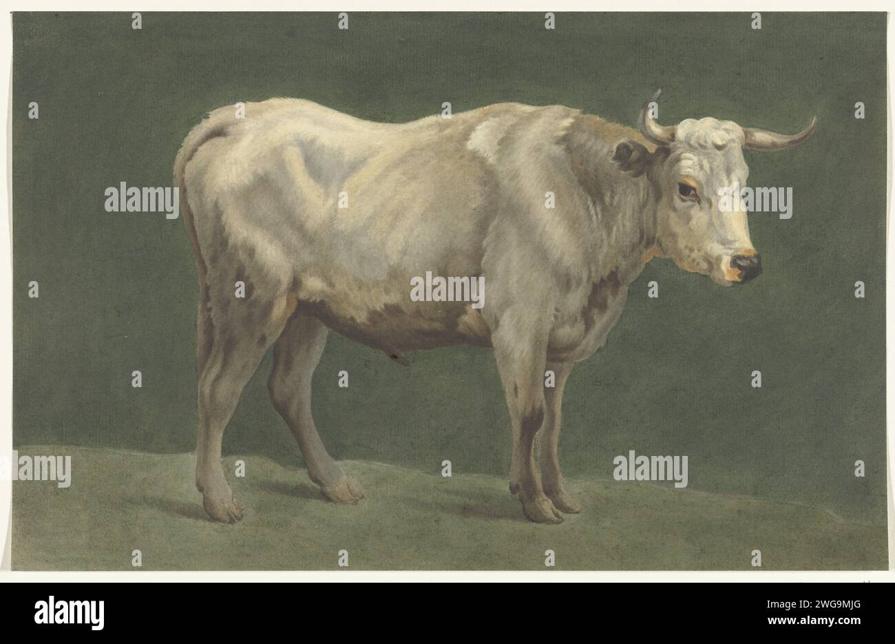 Standing bull, to the right, Jean Bernard, 1775 - 1833 drawing paper ...