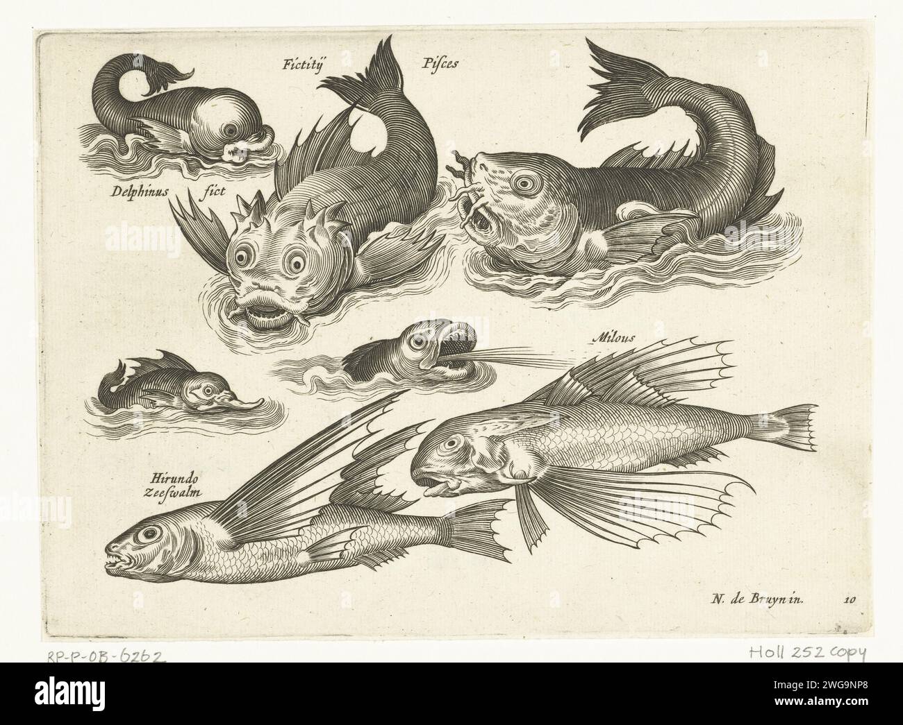 Engraved aquatic species hi-res stock photography and images - Alamy