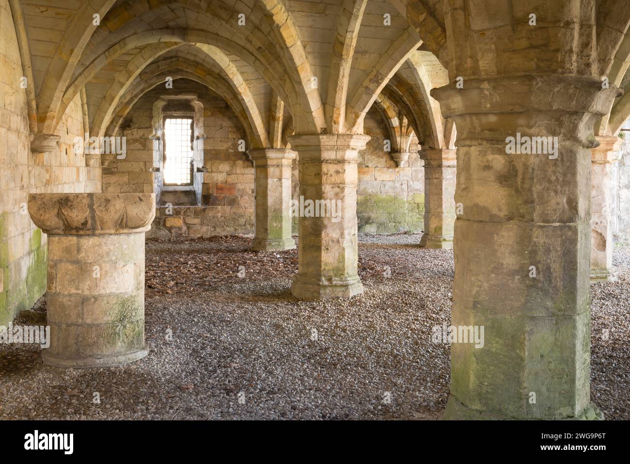 Museum gardens old building medieval walls hi-res stock photography and ...