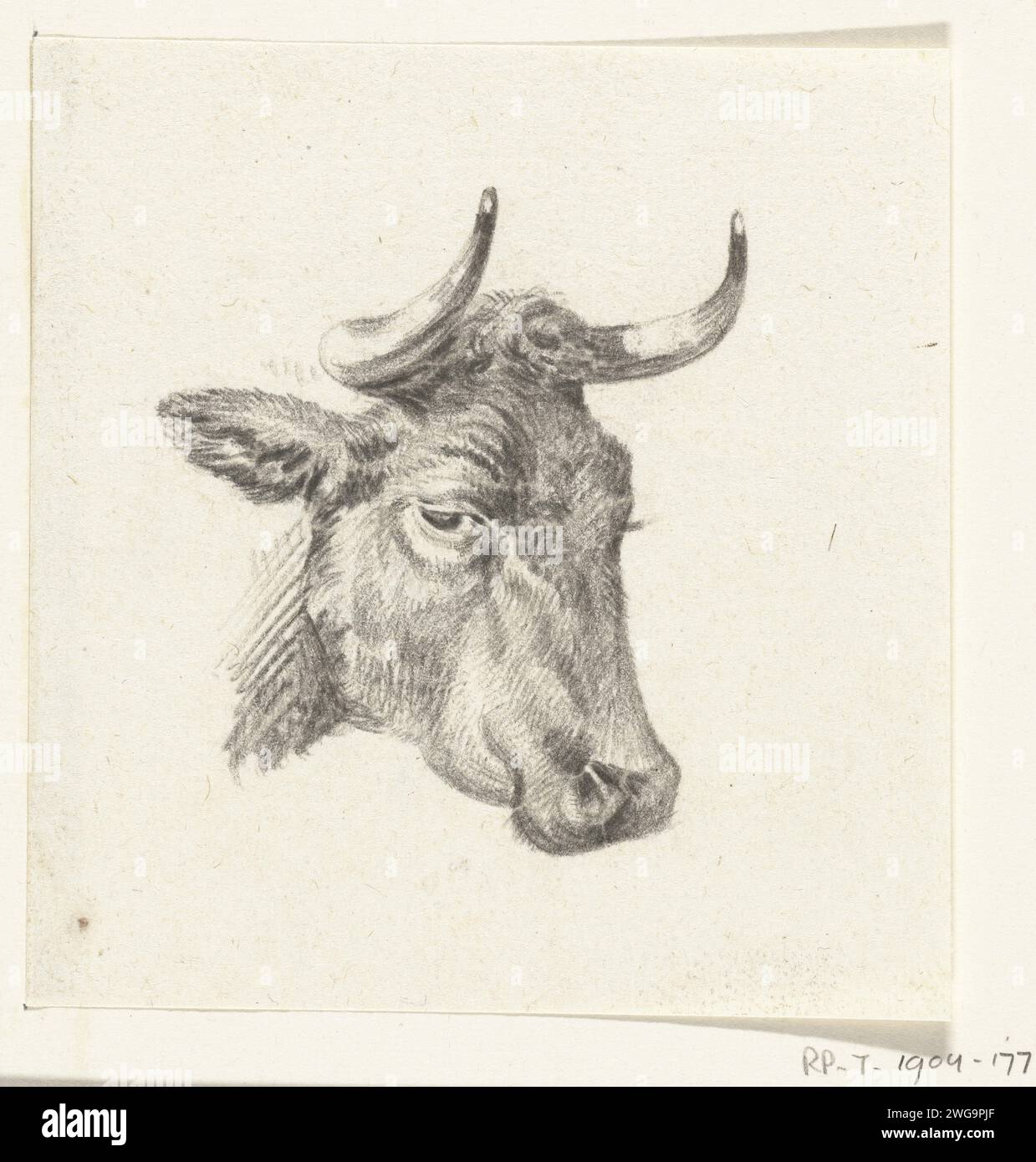 Kop van A cow, Jean Bernard, 1775 - 1833 drawing paper. pencil. chalk ...