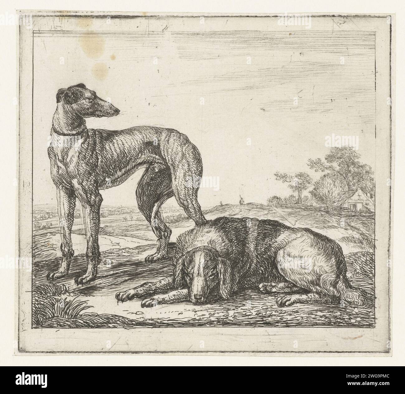 Hazewind dog and hunting dog, Simon de Vlieger, 1610 - 1653 print From ...