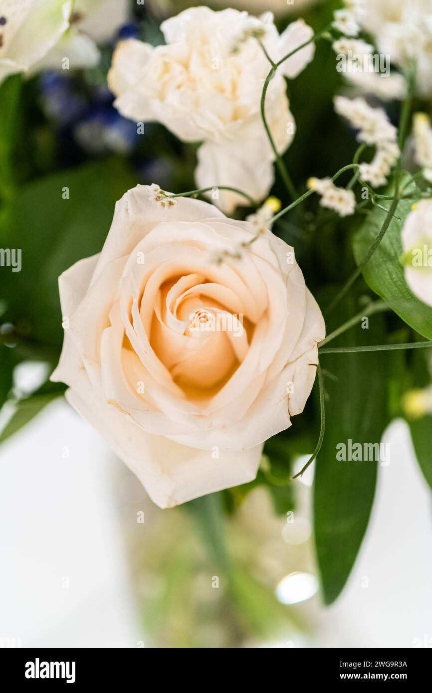 Elegant White Rose Bouquet Adorns a Beautiful Vase Stock Photo - Alamy