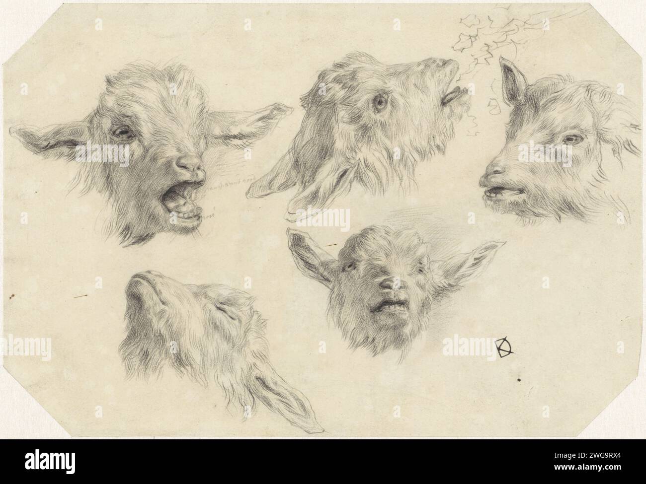Five sketches of goat heads, Johan Daniël Koelman, 1841 - 1857 drawing ...
