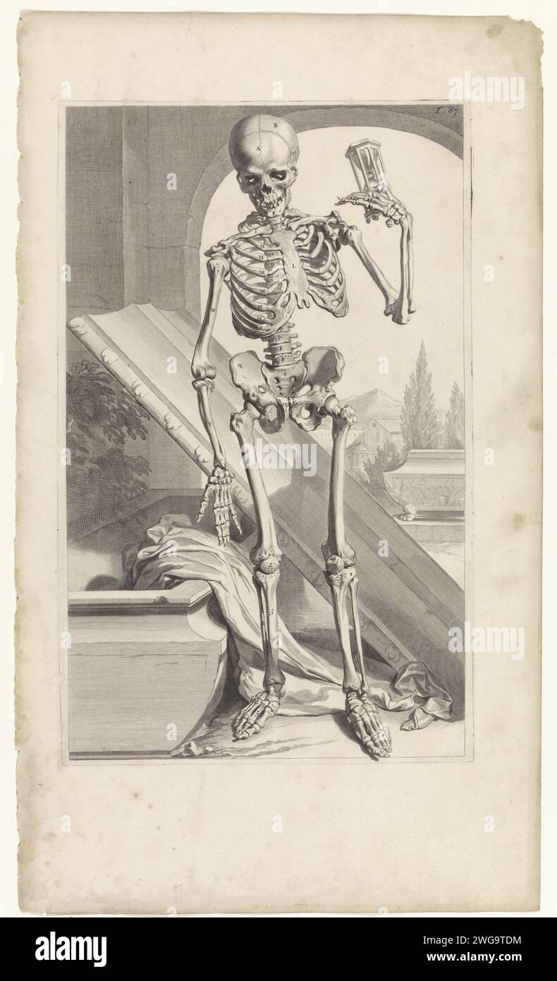 Anatomical model of a human skeleton, Pieter van Gunst, After Gerard de ...