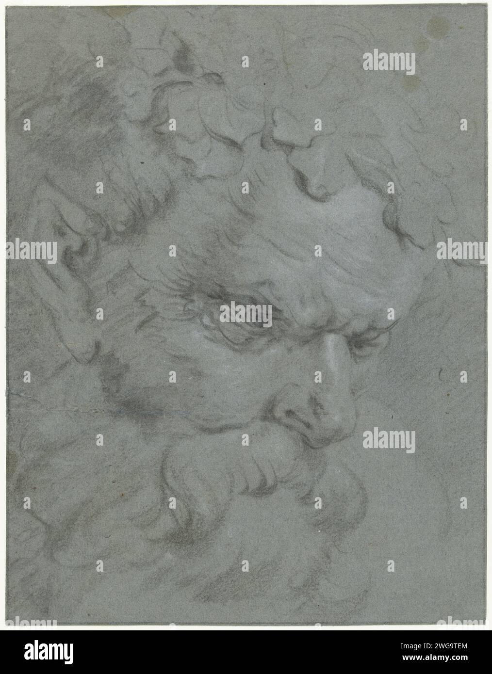 Bacchuskop, looking down to the right, Anthony Van Dyck (Possibly ...