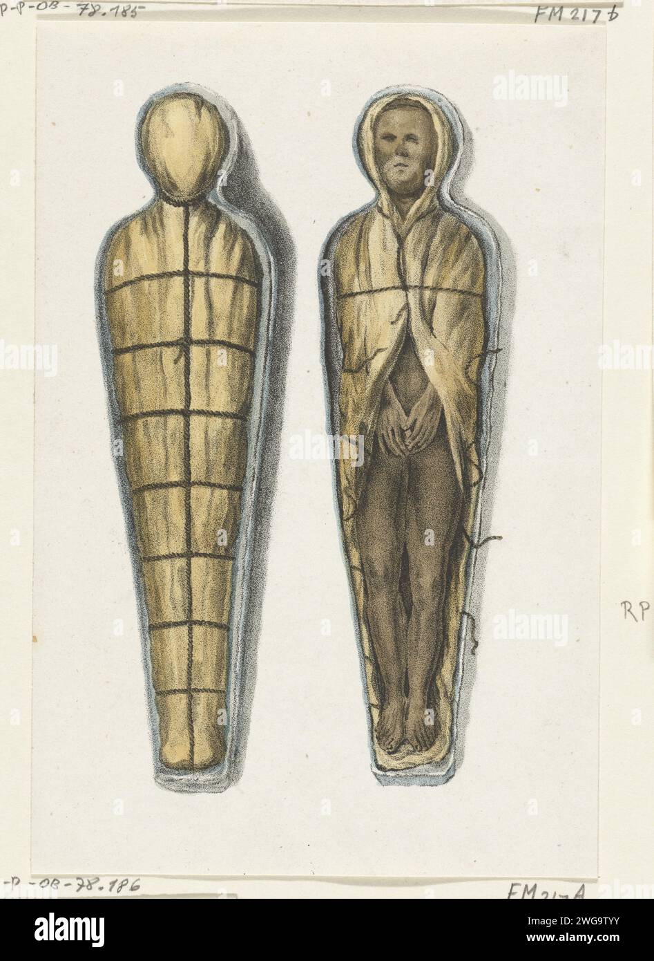 Count of Count William IV, 1842 - 1844 print Balmed corpse, probably ...