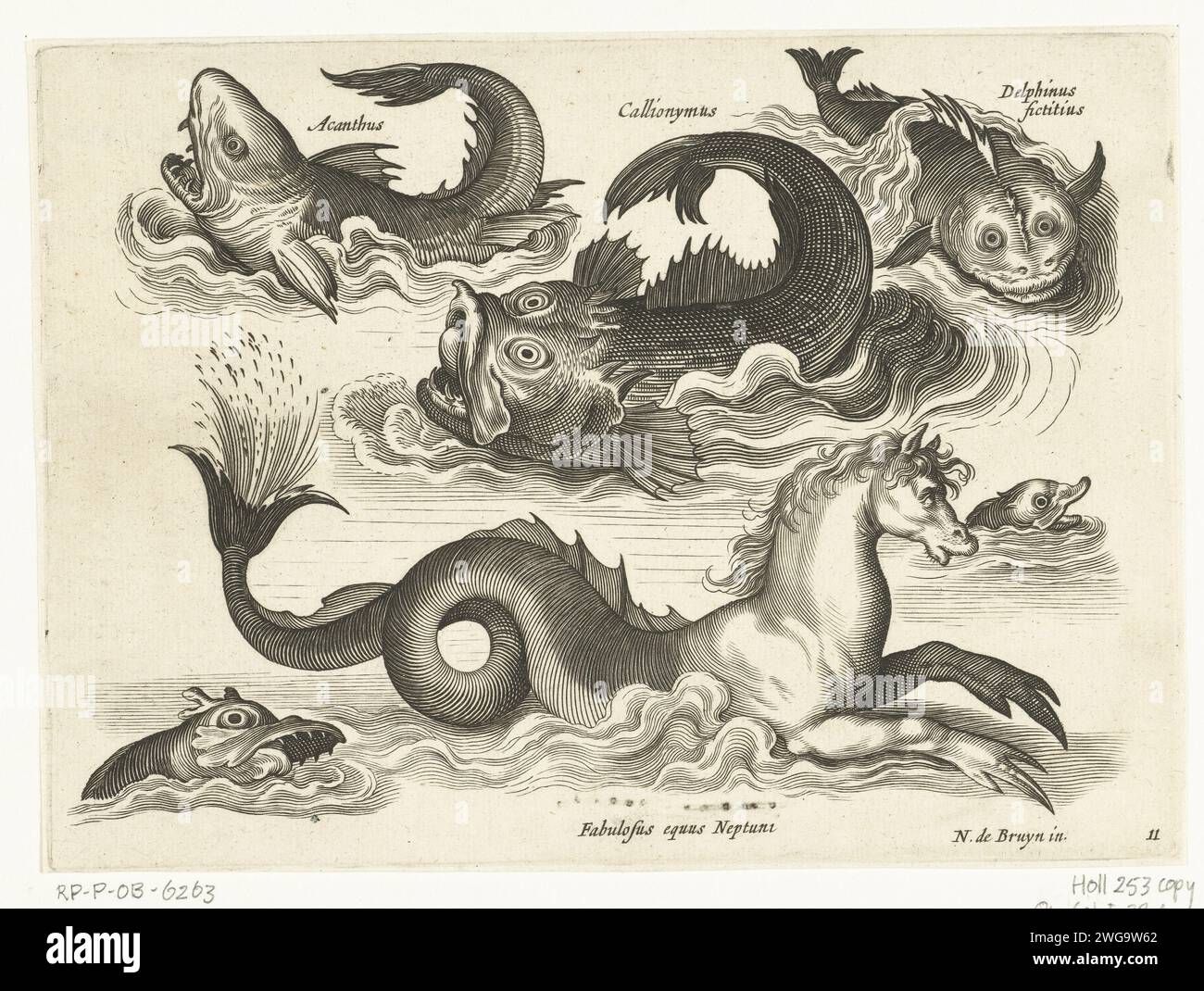 Fantastic aquatic animals, including sea horse, Anonymous, After ...