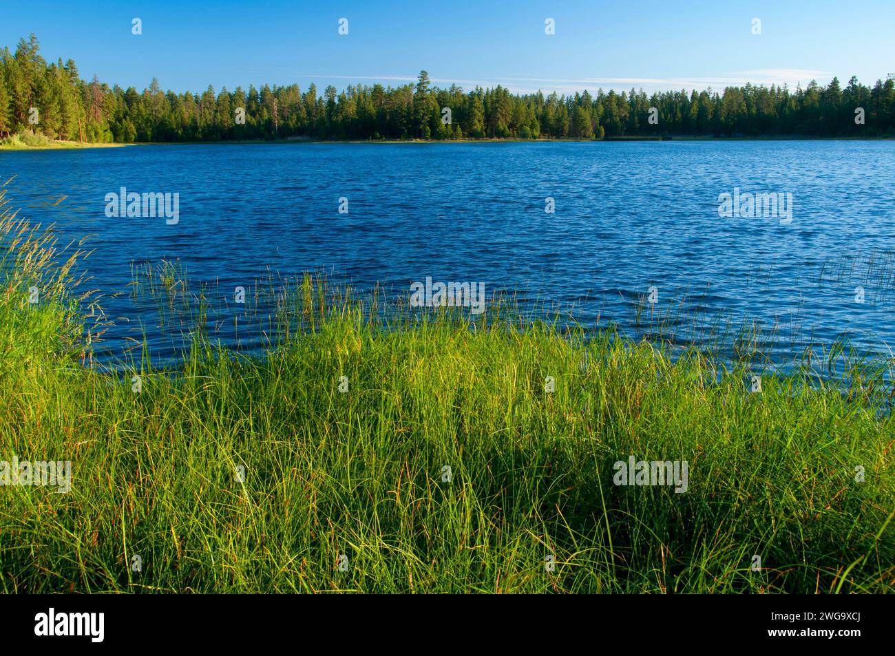 Ochoco national forest oregon hi-res stock photography and images - Alamy