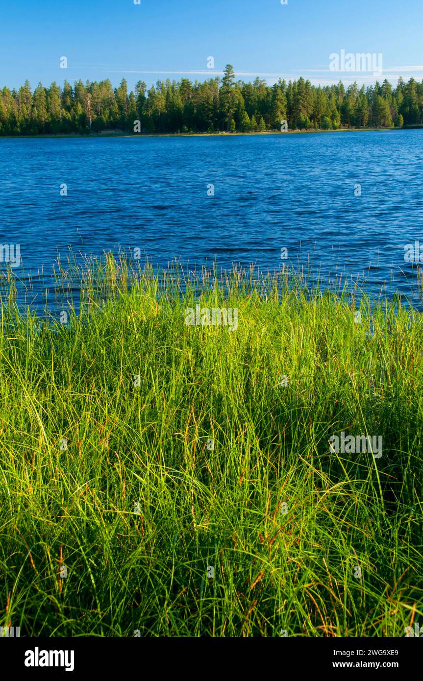 Ochoco national forest hi-res stock photography and images - Alamy
