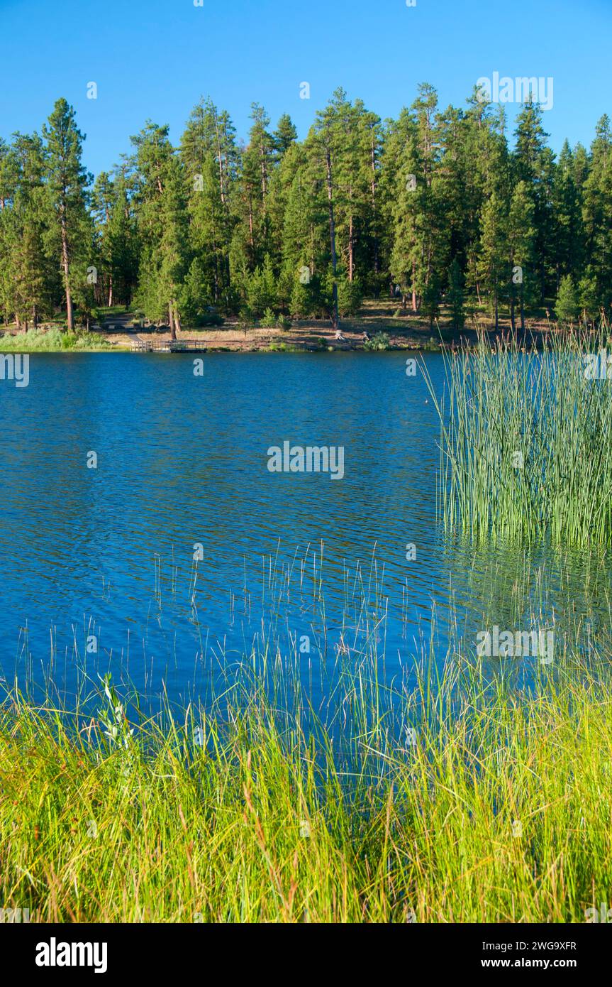 Ochoco national forest oregon hi-res stock photography and images - Alamy