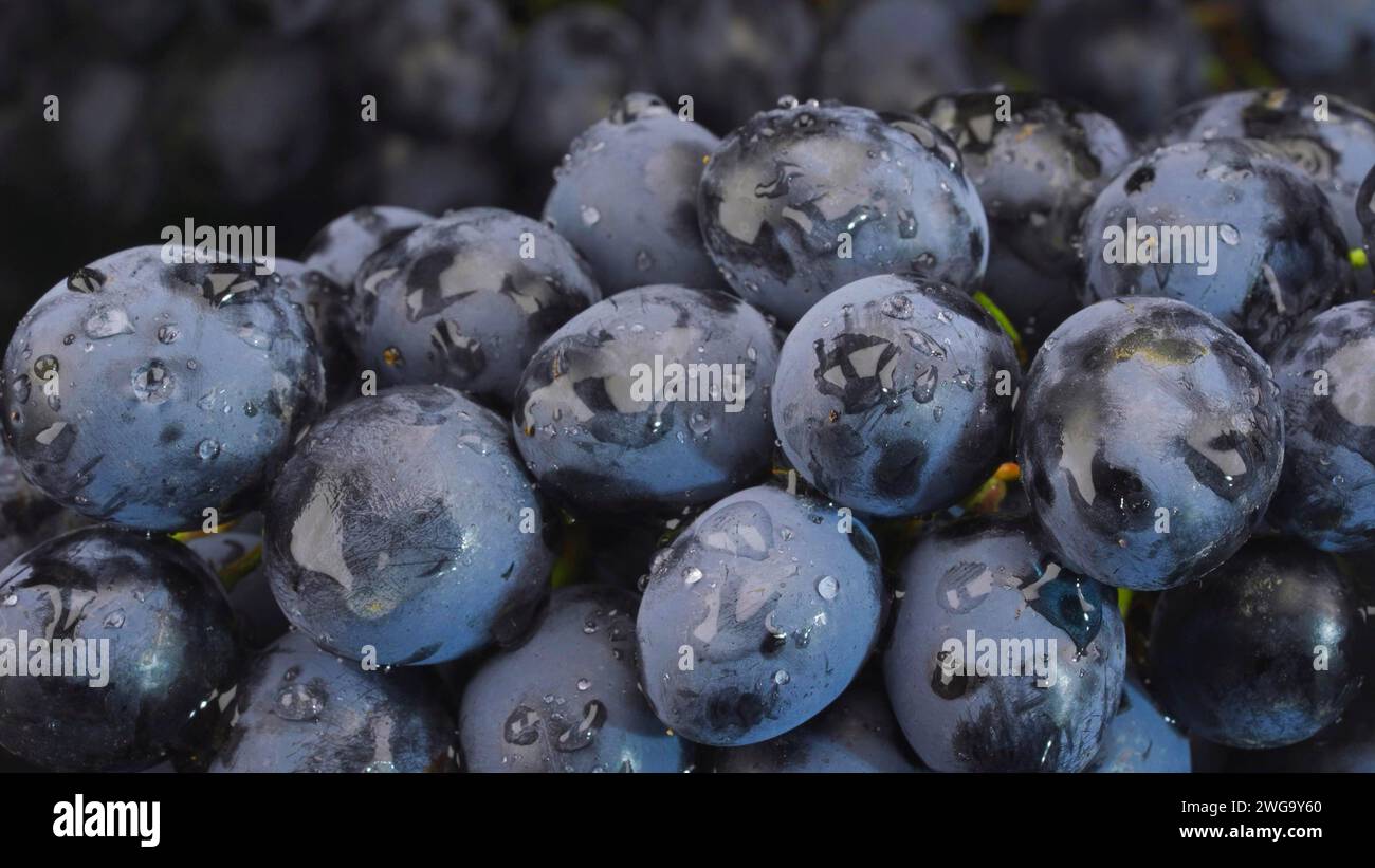 Close up view bunch ripe hi-res stock photography and images - Alamy
