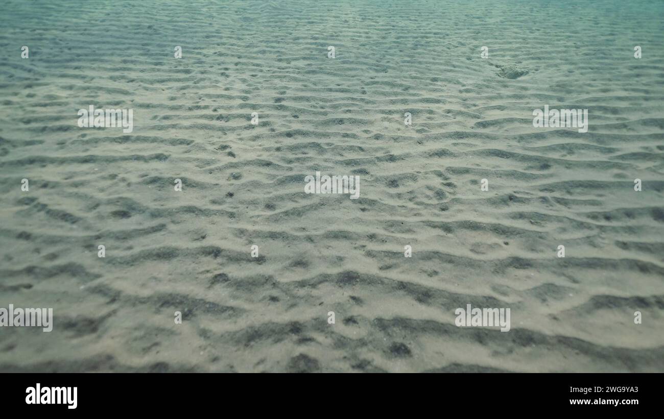 Sandy silty bottom with sunraiy in the morning time. Natural background ...