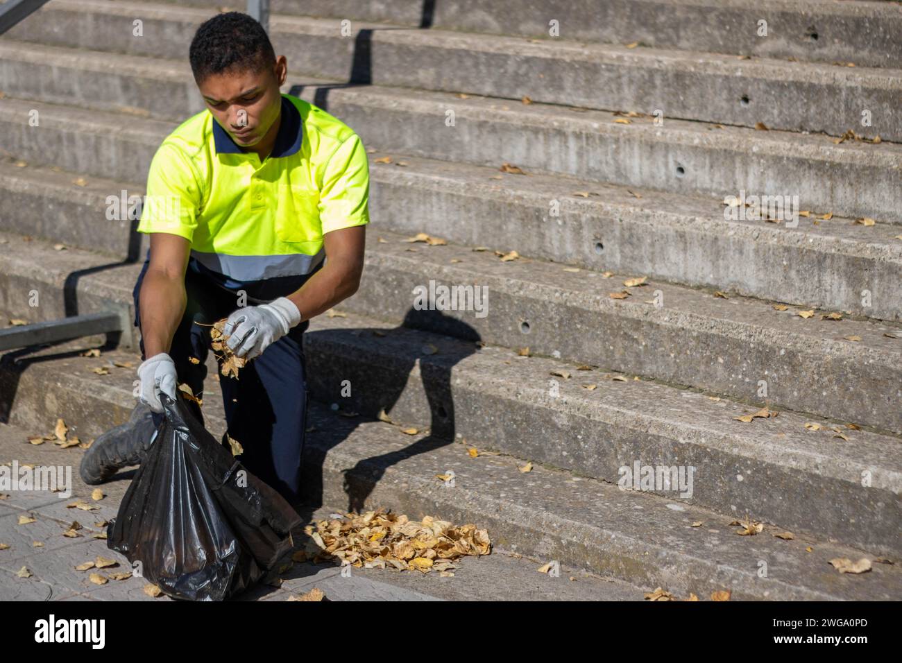 Garbage man picking up leaves in a rubbish bag, with gloves, stairs at ...
