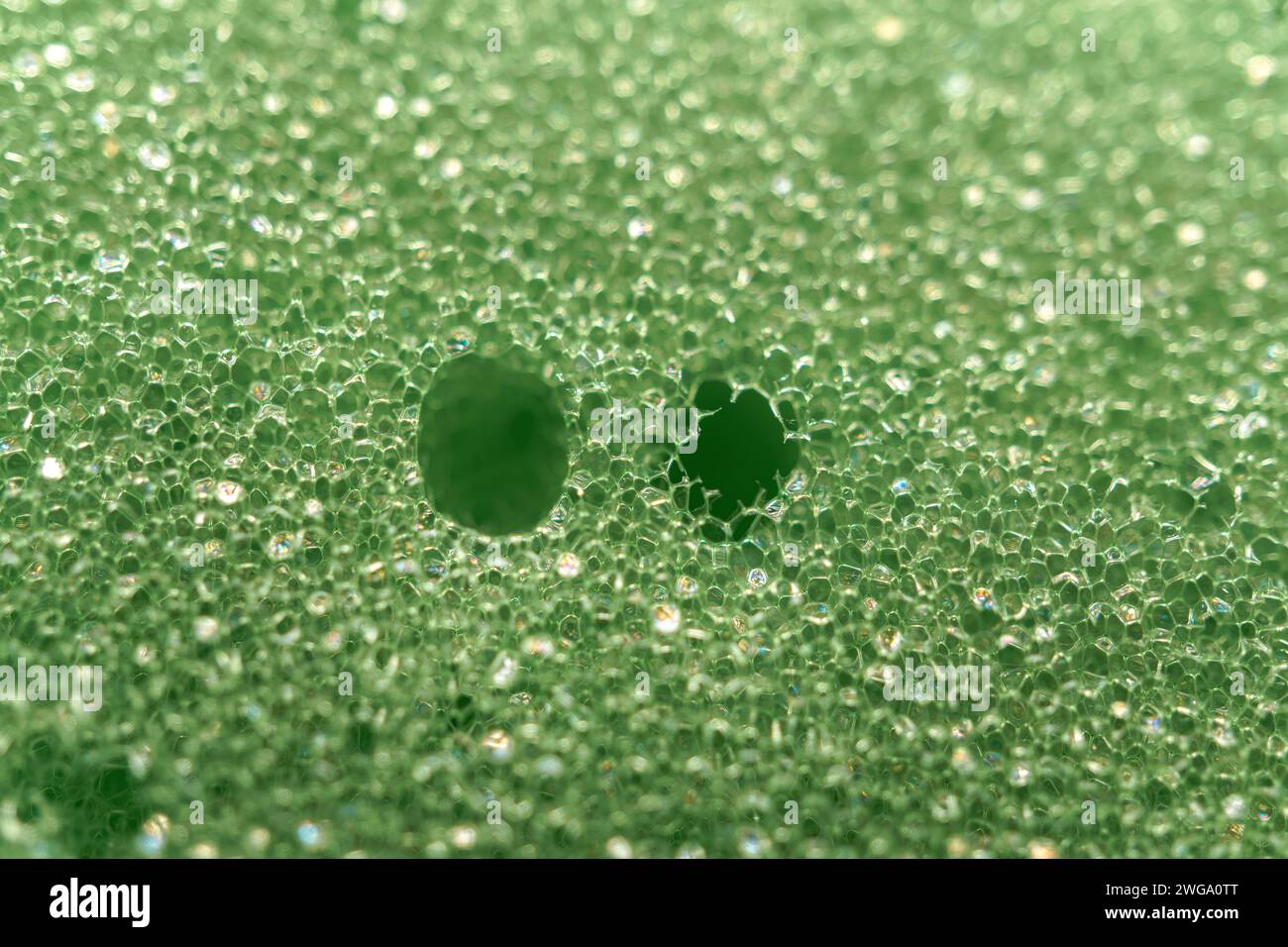 Sponge texture hi-res stock photography and images - Alamy