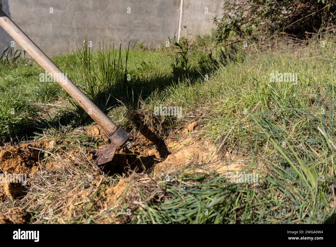Detail of a hoe digging and lifting up the soil Stock Photo - Alamy