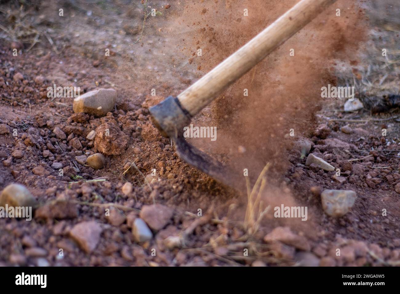 Close-up detail of an unrecognizable farmer digging the earth with a ...