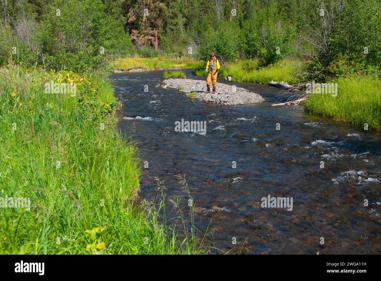 Fly fishing, North Fork Malheur Wild and Scenic River, Malheur National ...