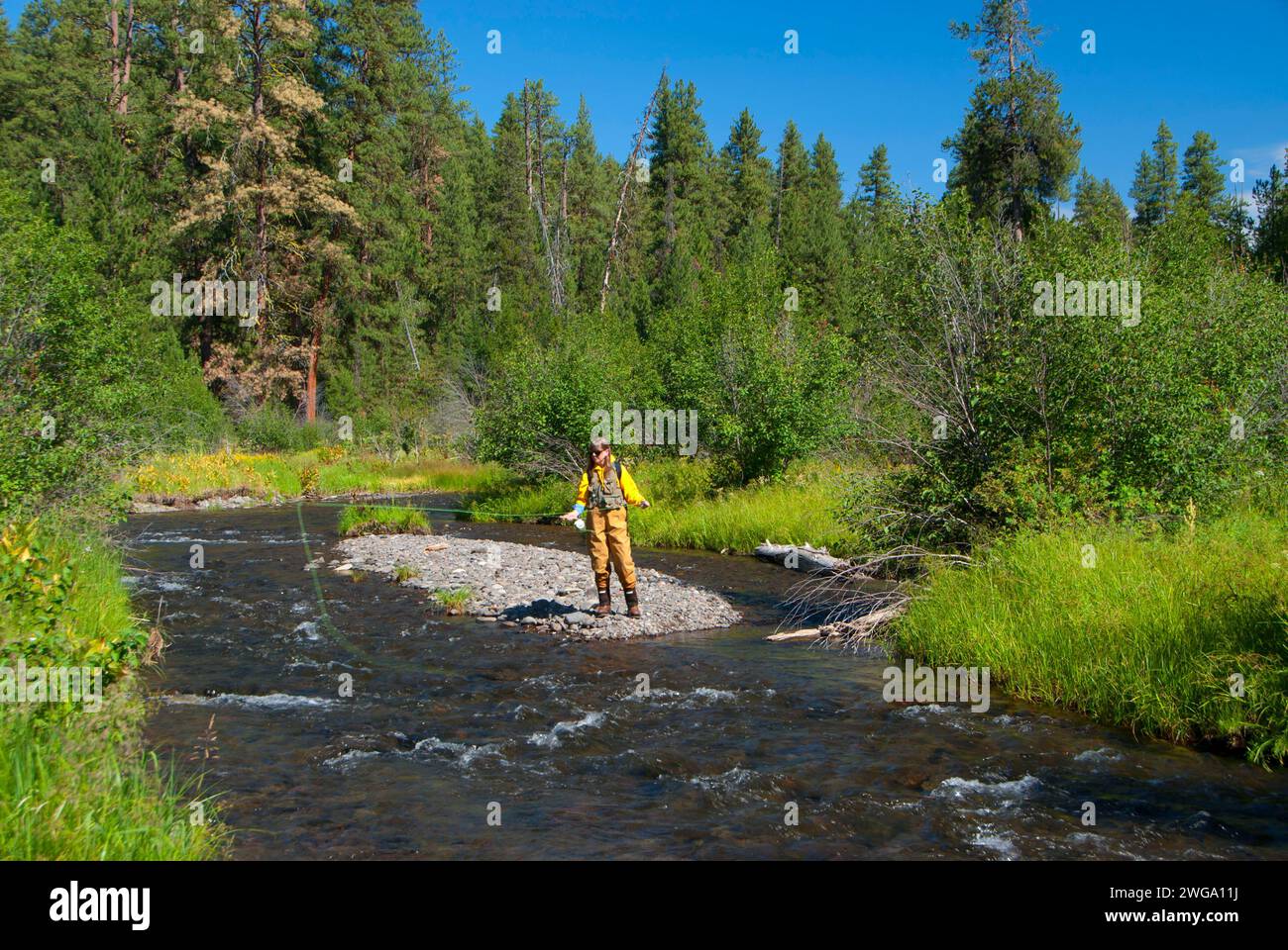 Fly fishing, North Fork Malheur Wild and Scenic River, Malheur National ...